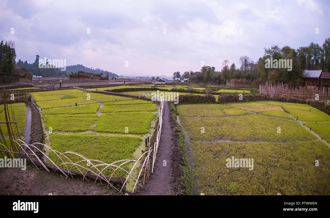 Ziro village hi-res stock photography and images - Alamy