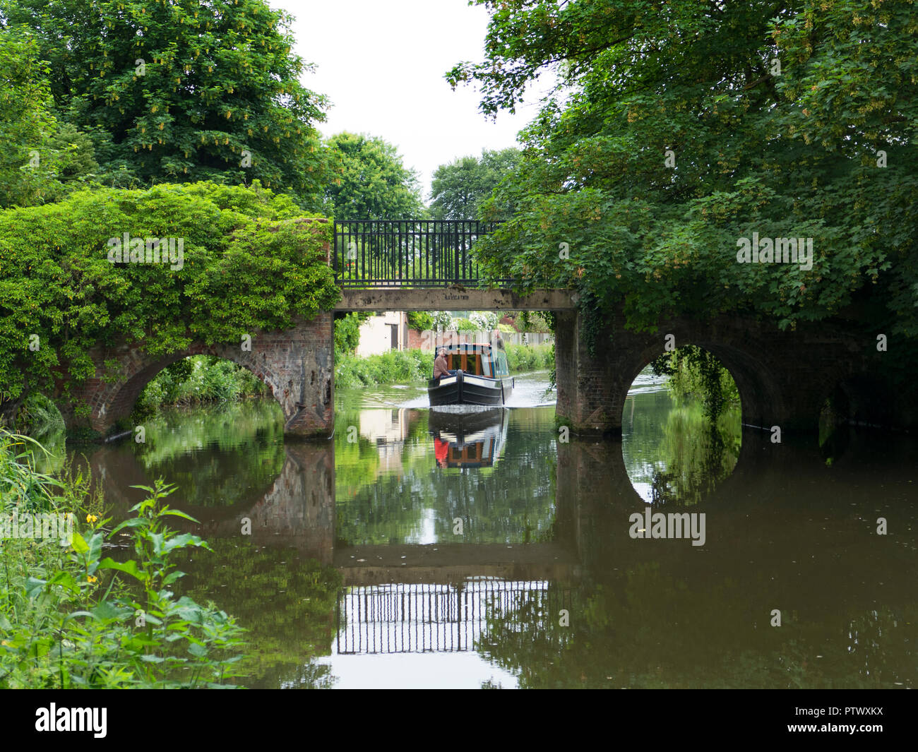 Small narrow river in summer hi-res stock photography and images - Alamy