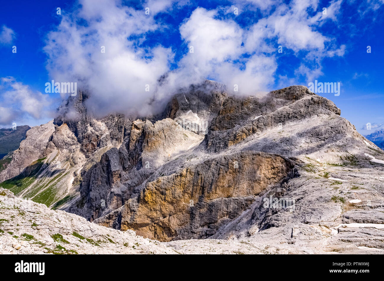 Cima rosetta hi-res stock photography and images - Alamy