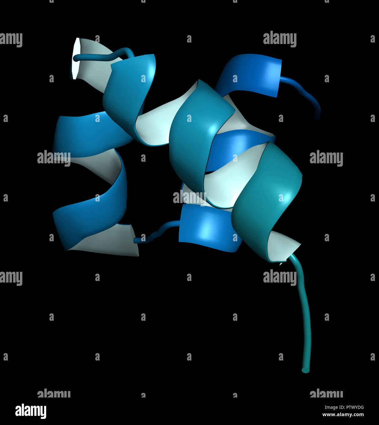 Osteocalcin bone-building hormone (porcine). 3D rendering, cartoon ...
