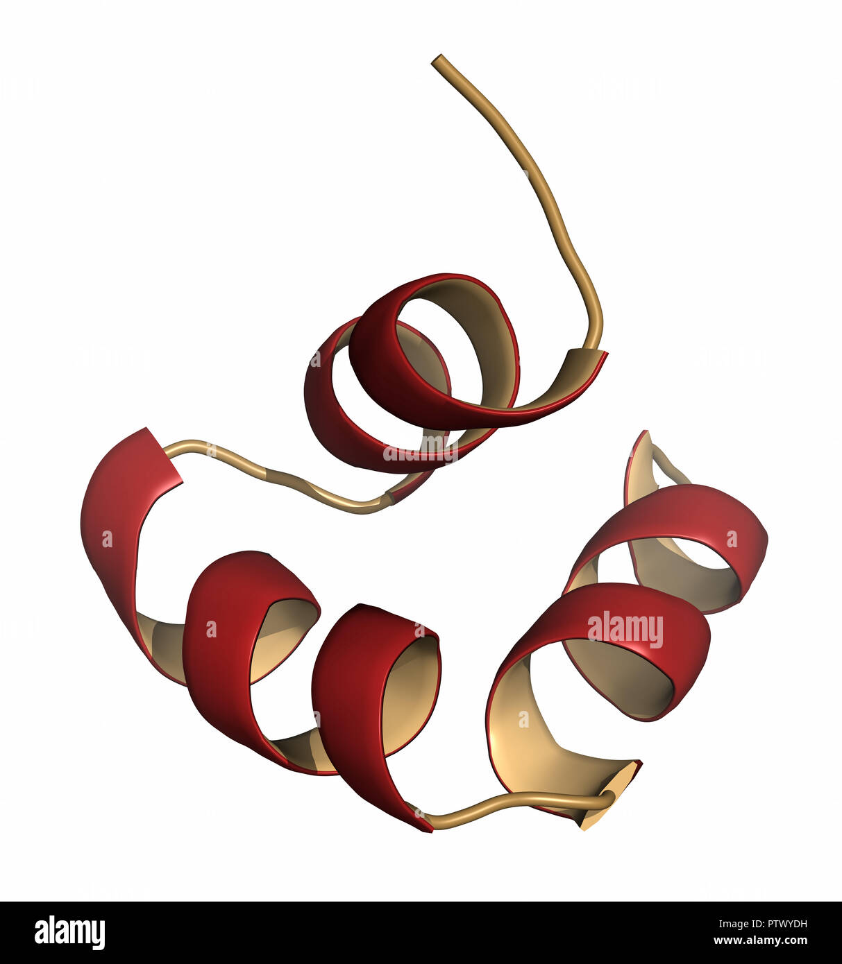 Osteocalcin bone-building hormone (porcine). 3D rendering, cartoon ...