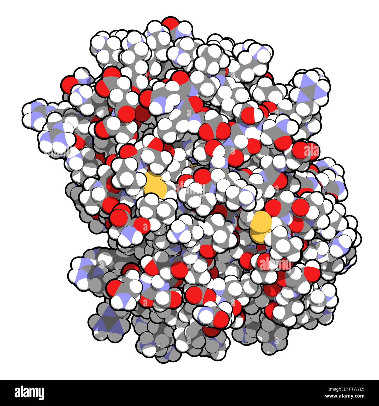 Platelet factor 4 (PF-4) chemokine protein. 3D rendering, atoms are ...