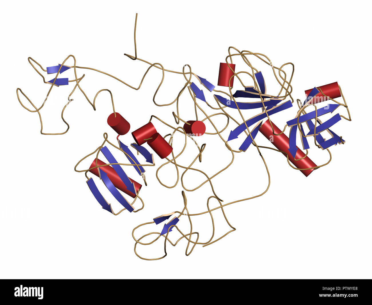 Fibrin Stock Photos & Fibrin Stock Images - Alamy