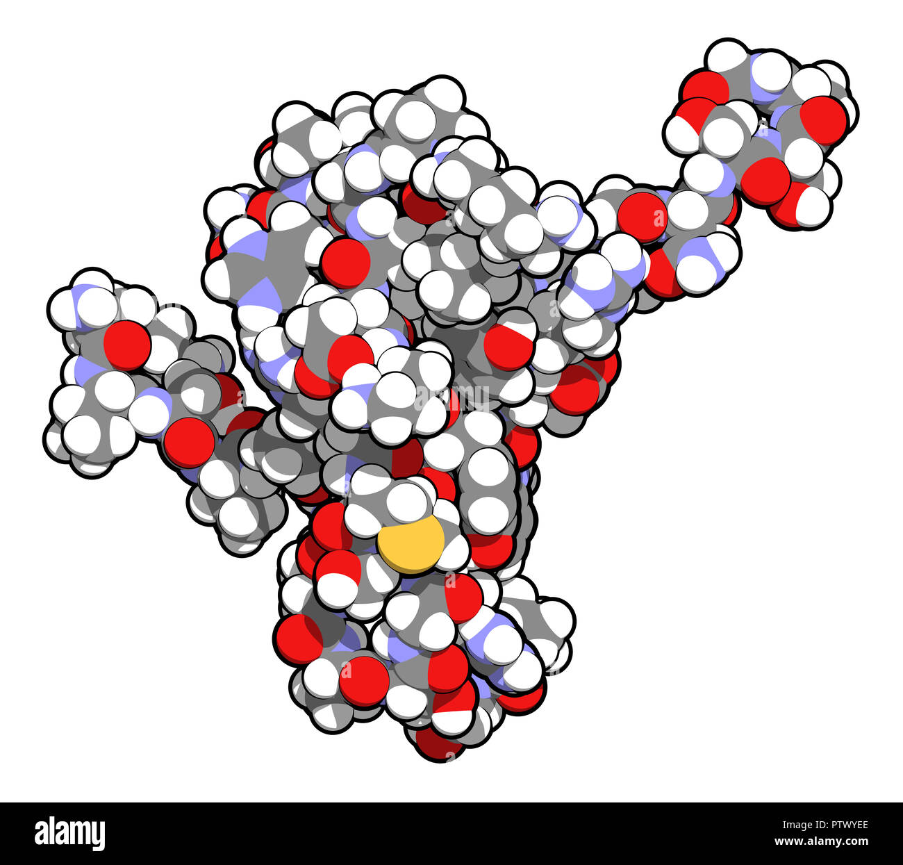 Tau protein fragment. May play a role in Alzheimer's disease. 3D ...