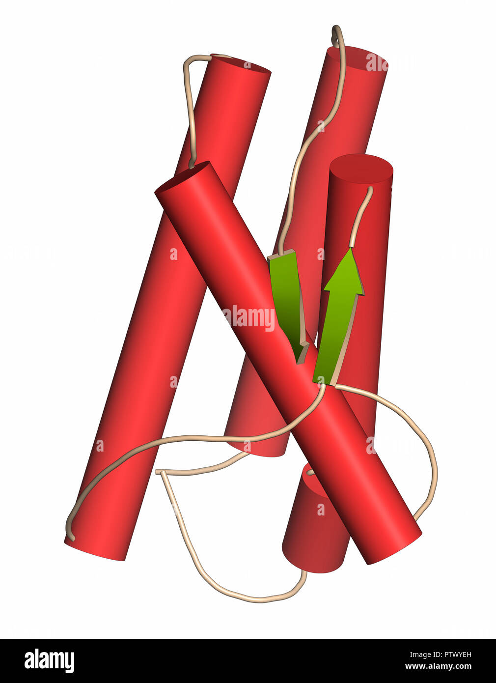 Thrombopoietin (THPO, functional domain) hormone. Regulates production ...
