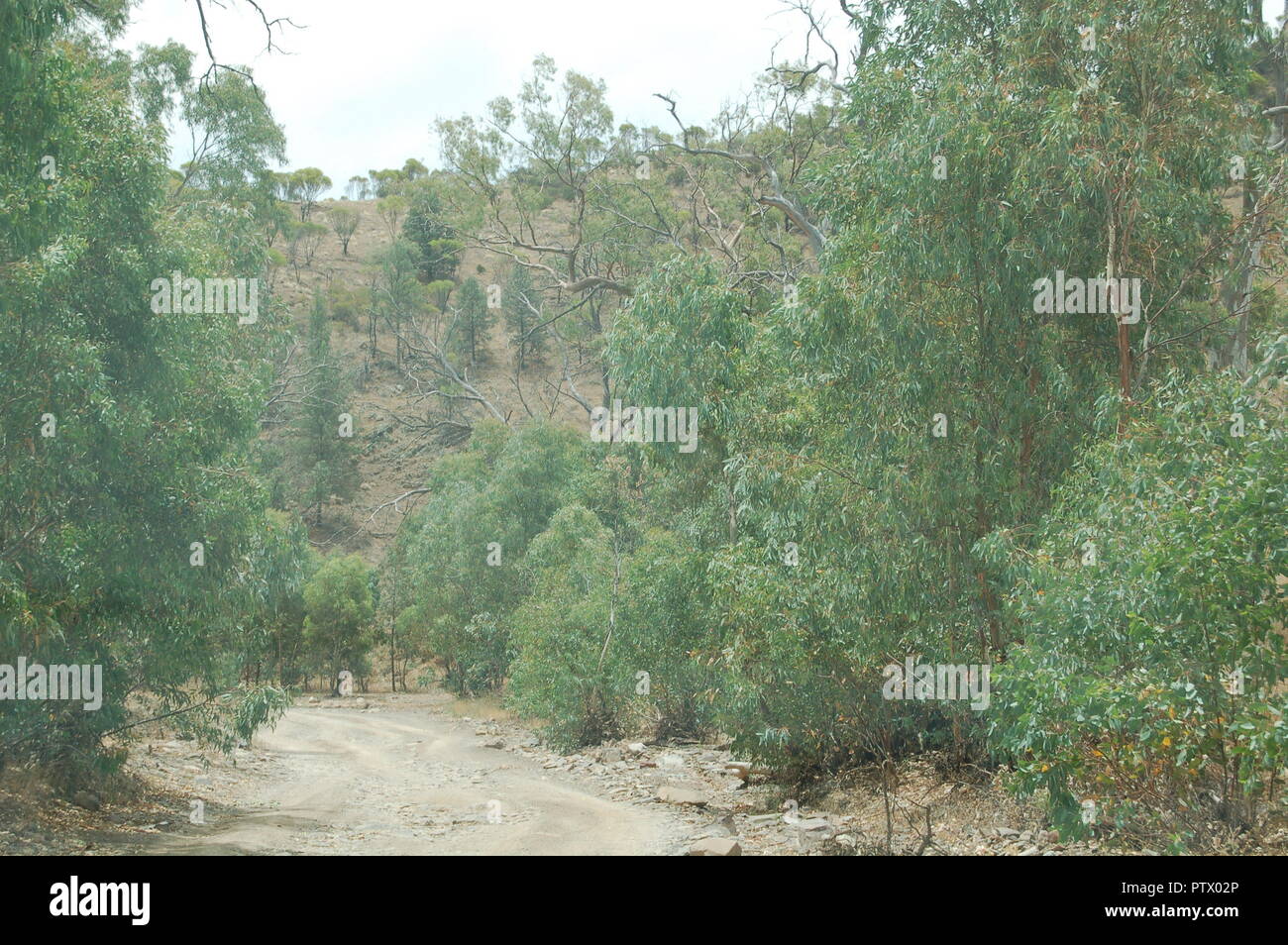 Flinders ranges australia creek hi-res stock photography and images - Alamy