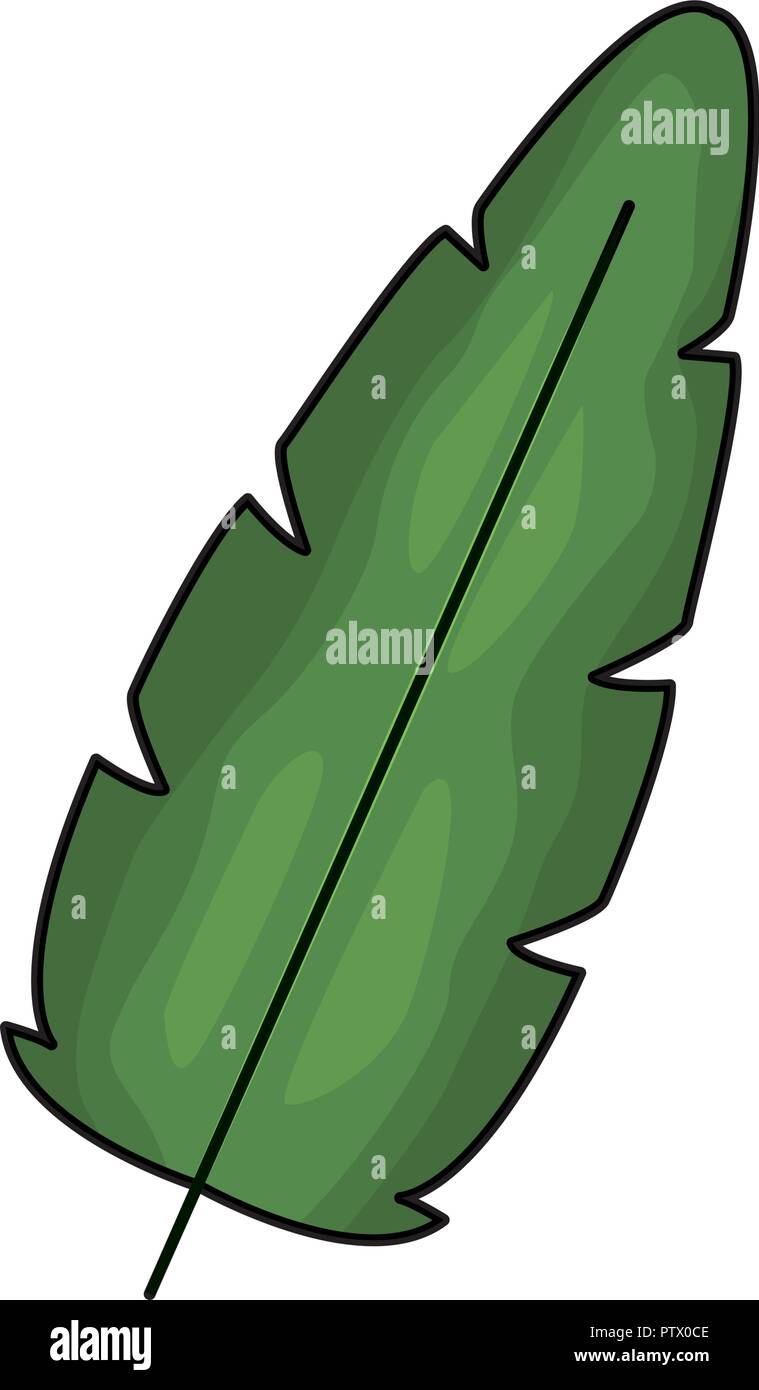 Leaf nature cartoon vector illustration graphic design Stock Vector ...