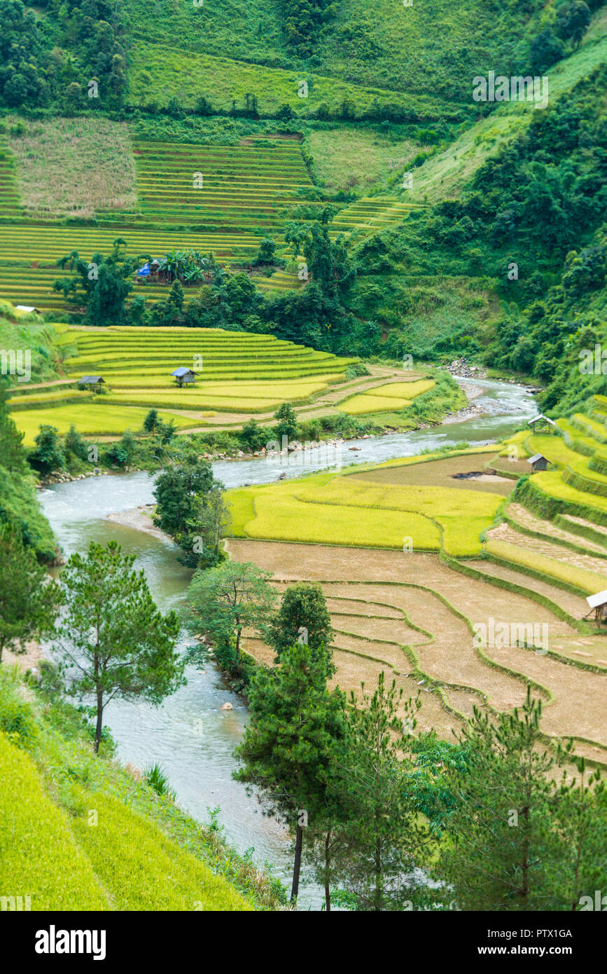 Mu Cang Chai terraces fields in harvest season Stock Photo - Alamy