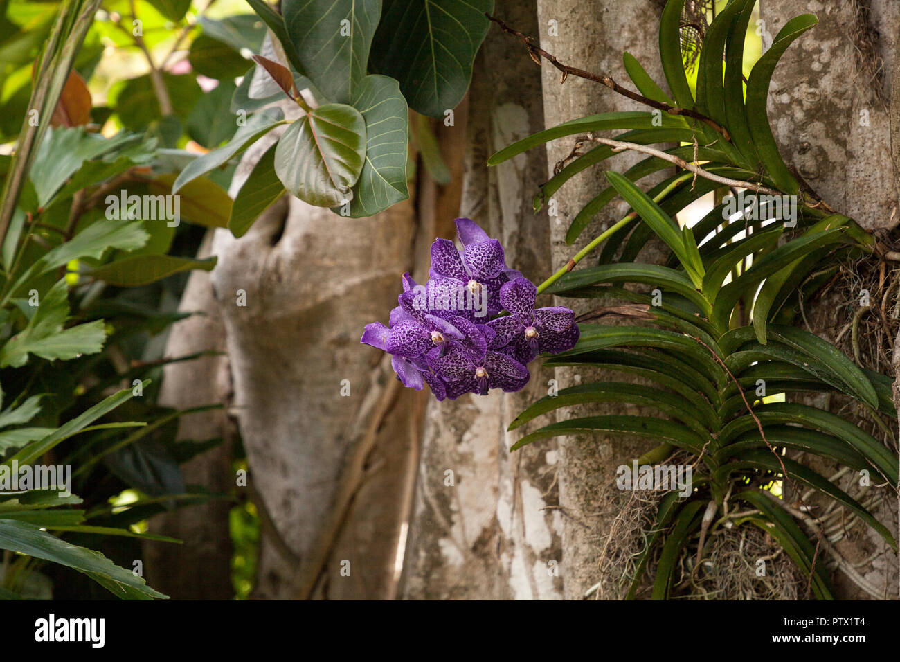 Southewest hi-res stock photography and images - Alamy