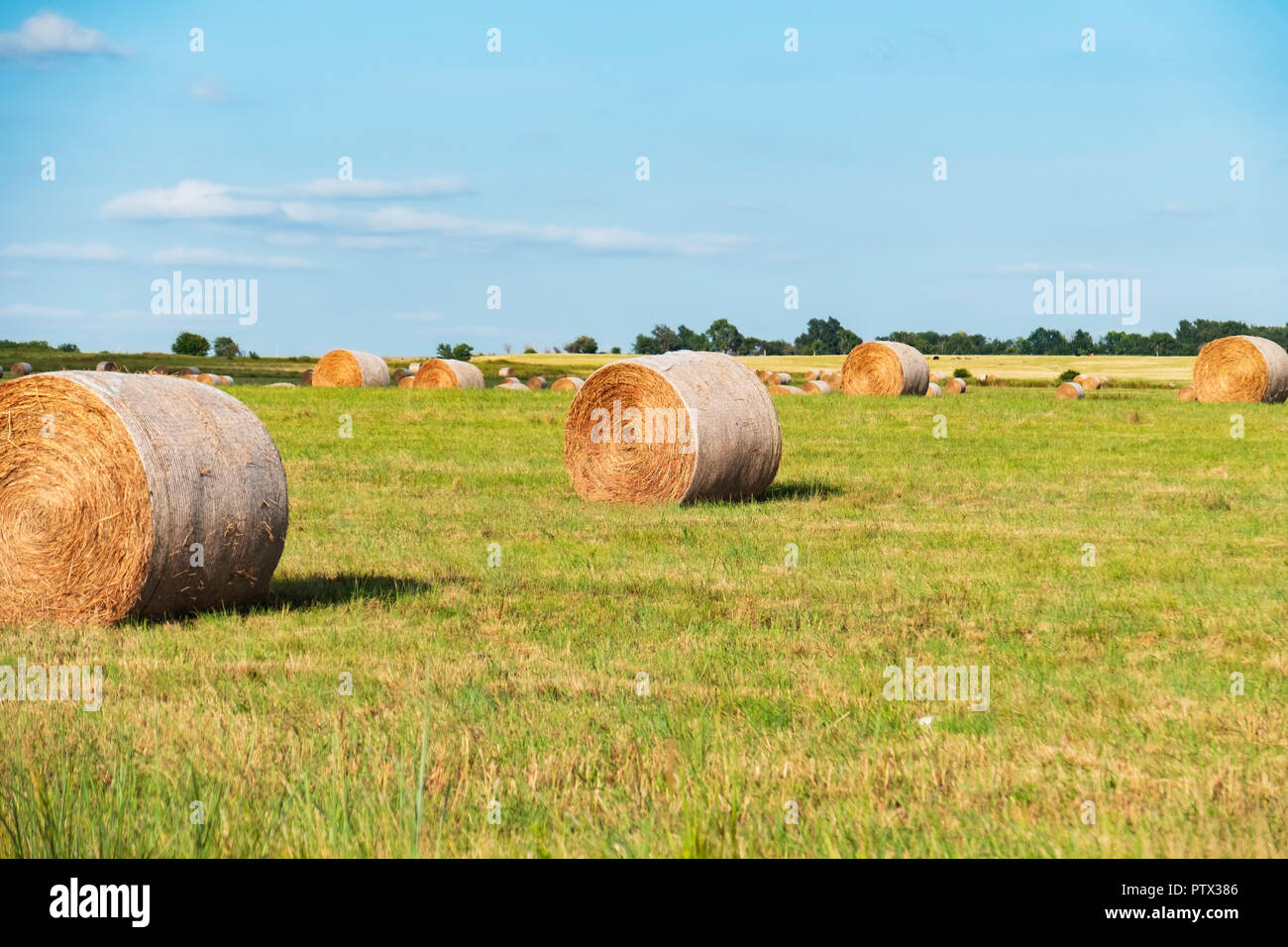 Hay round bales hi-res stock photography and images - Alamy