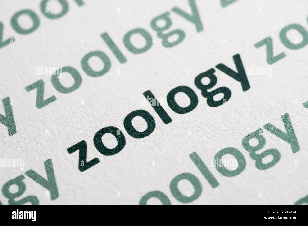 Science zoology hi-res stock photography and images - Alamy
