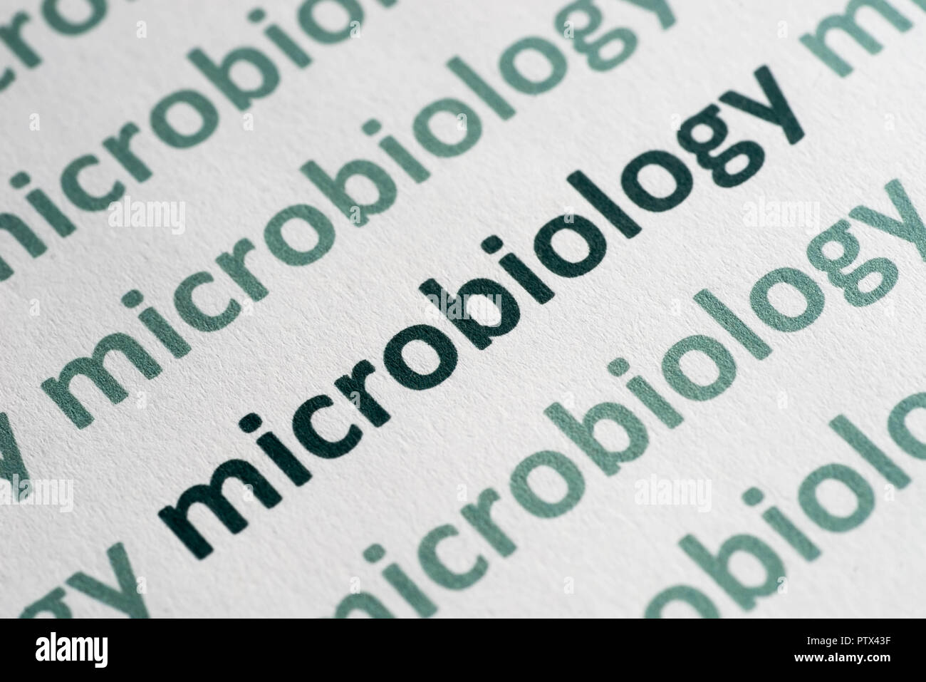 word microbiology printed on white paper macro Stock Photo - Alamy