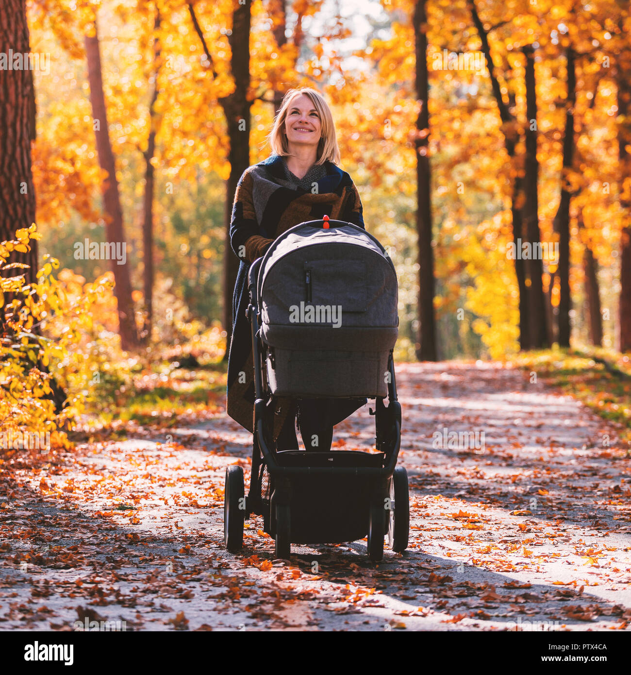 A young mother with a stroller walks through the autumn park. Walking ...