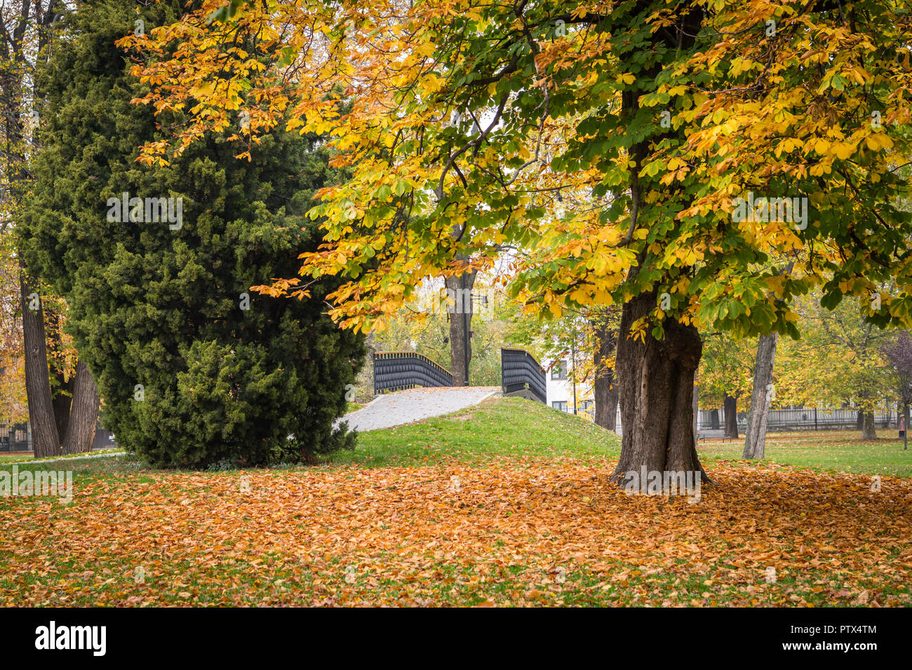 Bridge in Slovak park in the fall Stock Photo - Alamy