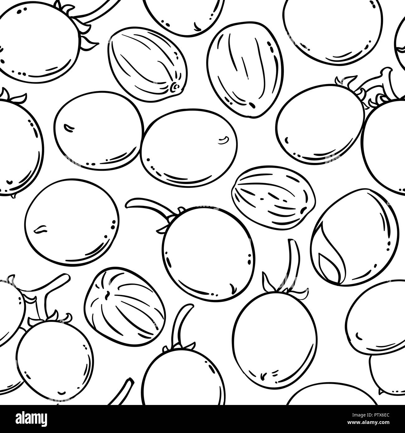 Shea butter illustration Stock Vector Images - Alamy