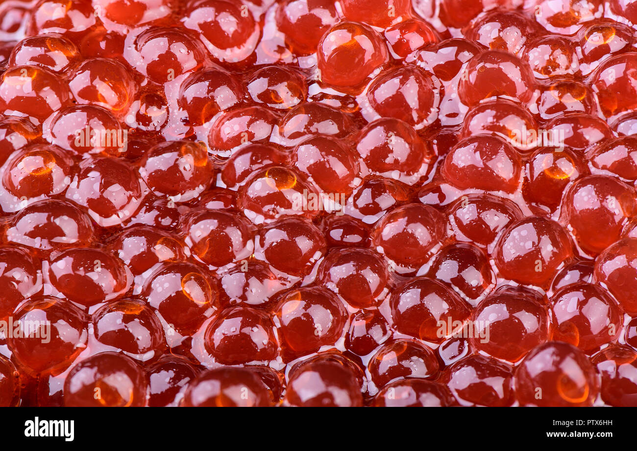 Close-up red caviar as background. Salmon caviar. Delicatessen. Texture ...