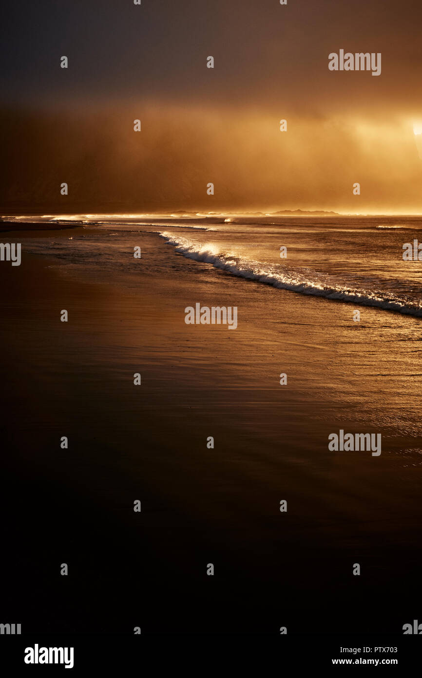 An empty windswept beach in the low morning sunlight on a stormy day ...