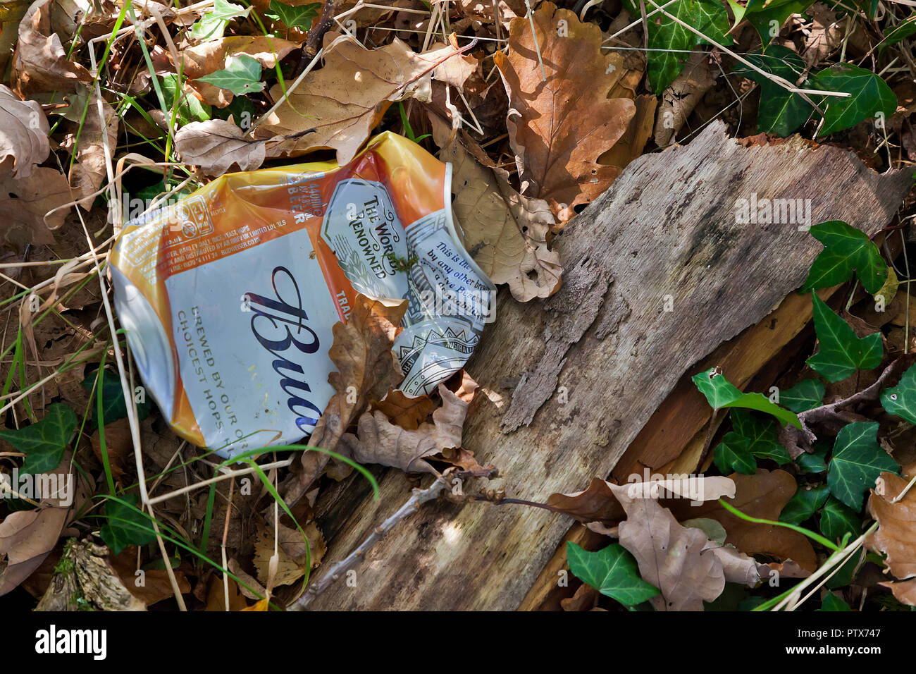 Environmental woodland hi-res stock photography and images - Alamy