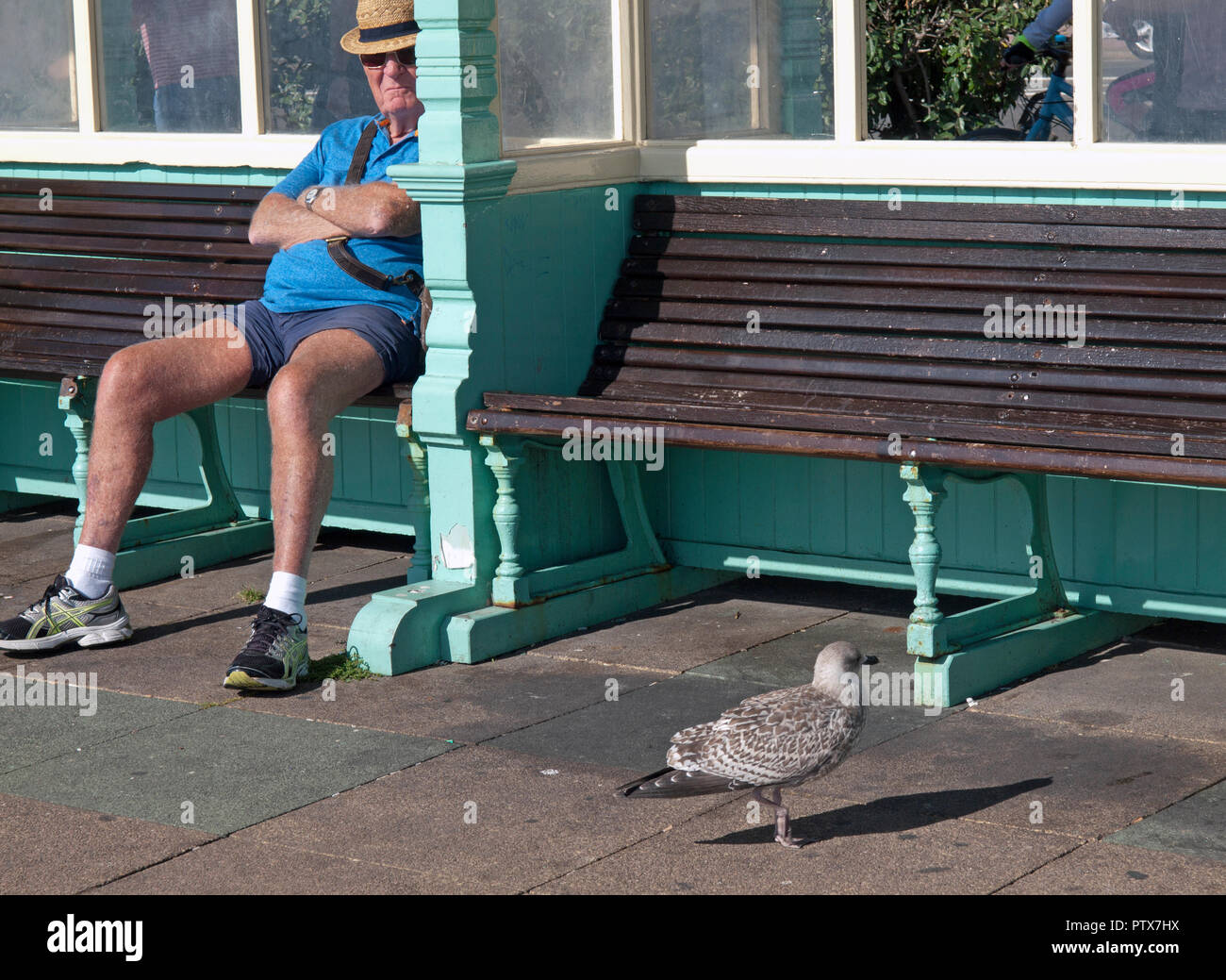 Brighton seafront bench hi-res stock photography and images - Alamy