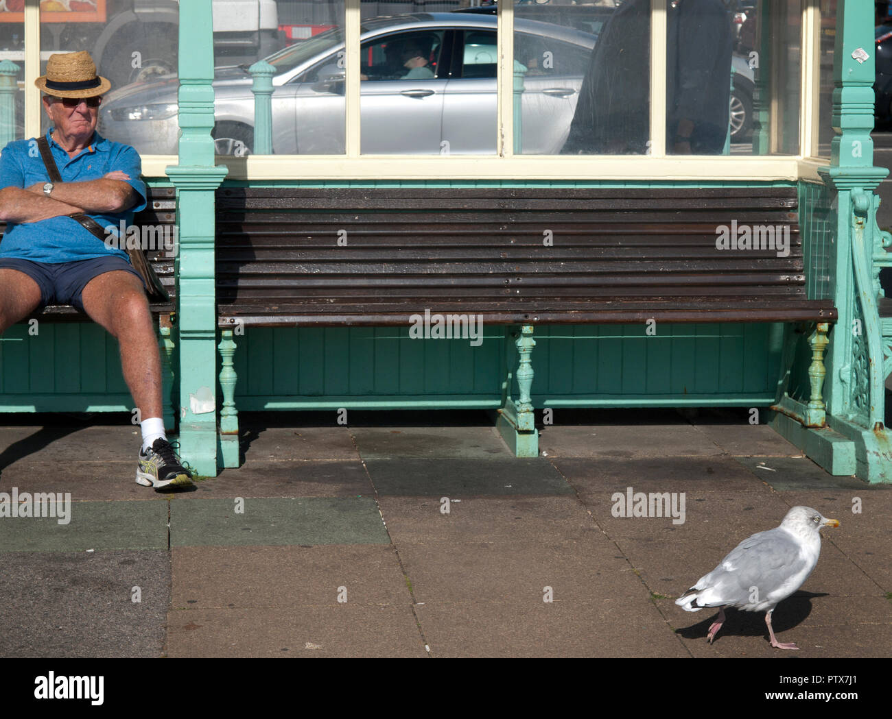 On a sunny Brighton seafront a man sits on a bench Stock Photo - Alamy