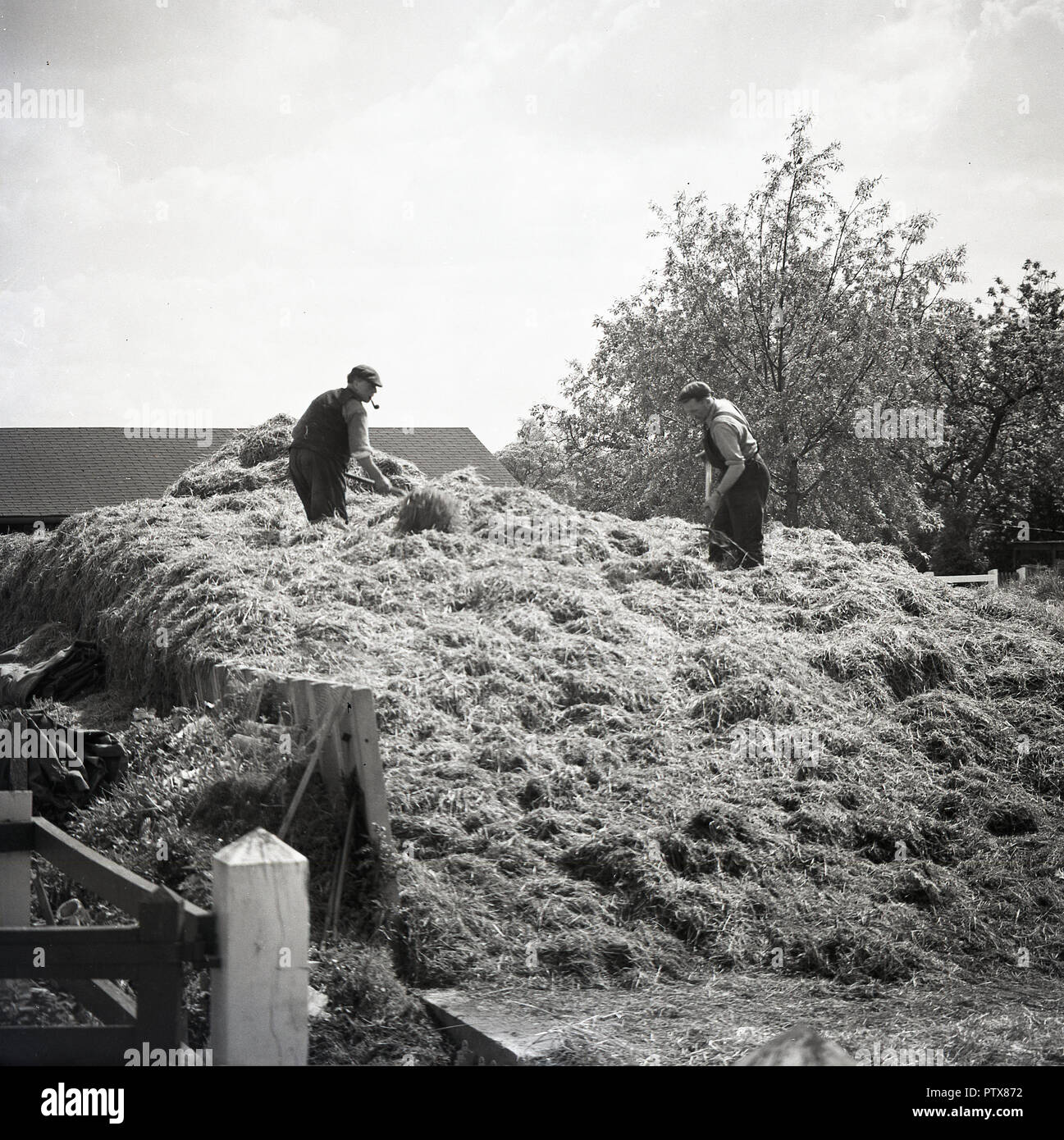 Farming 1950s uk hi-res stock photography and images - Alamy