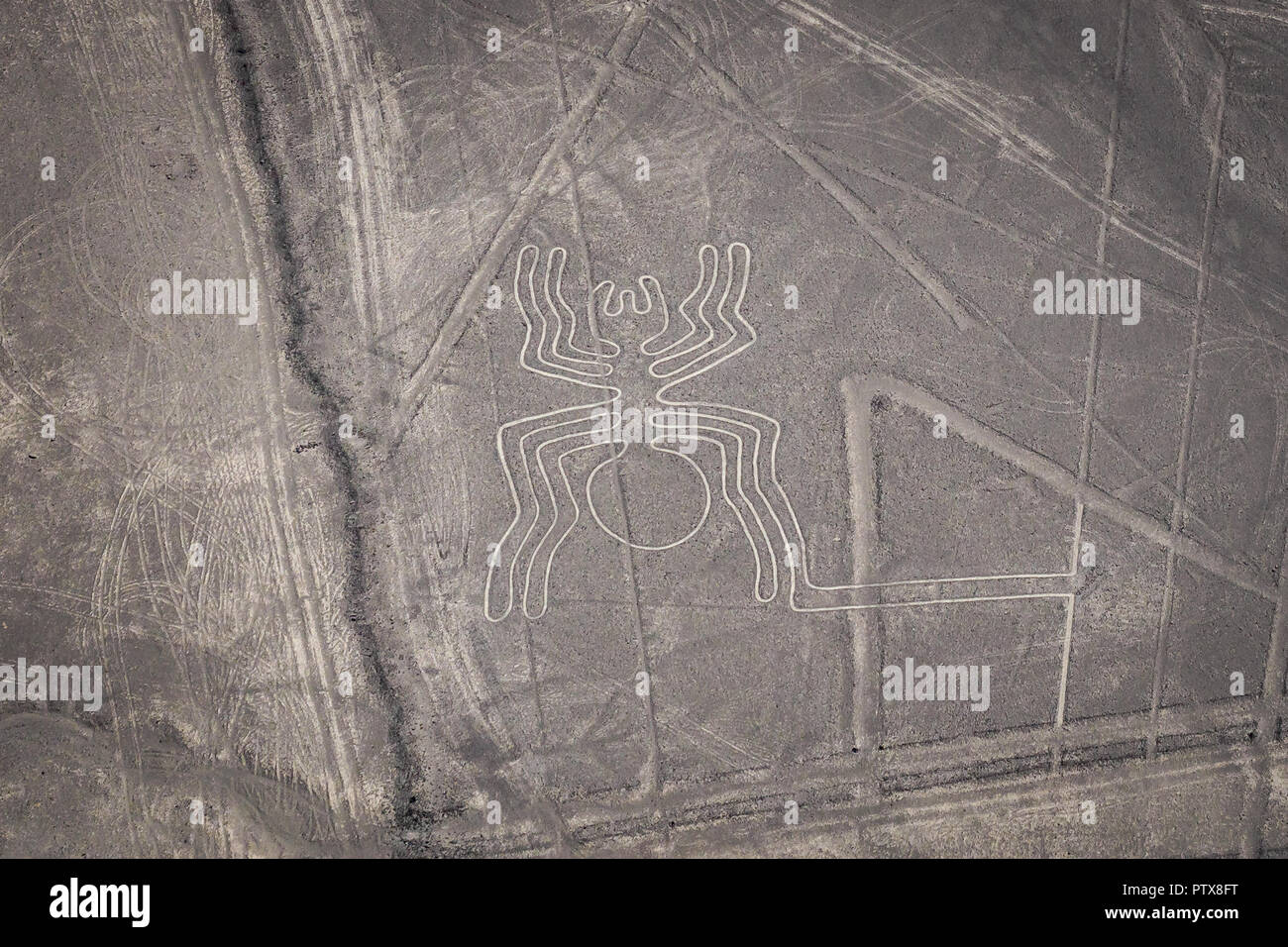 Nazca Lines - The Spider - Landmark of Peru Stock Photo - Alamy