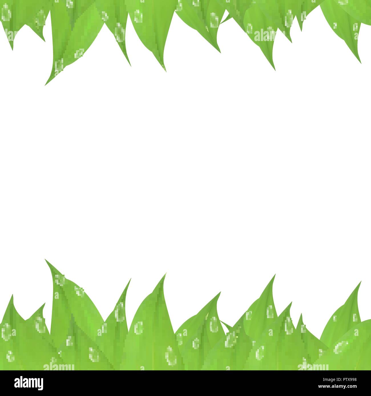 Vector green card design isolated on white background, frame of green ...