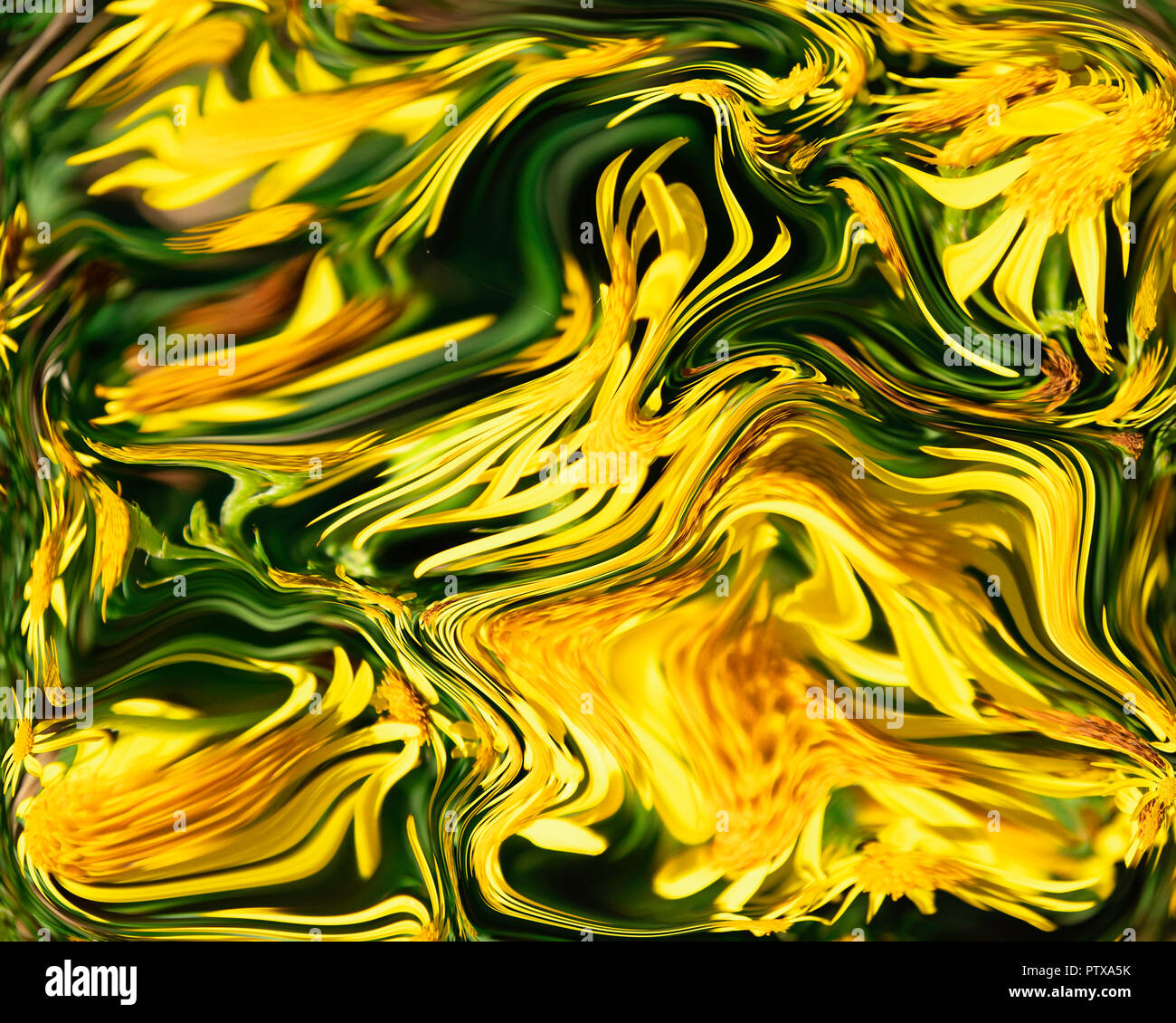 Abstracts from a photograph of daisy plant Stock Photo - Alamy