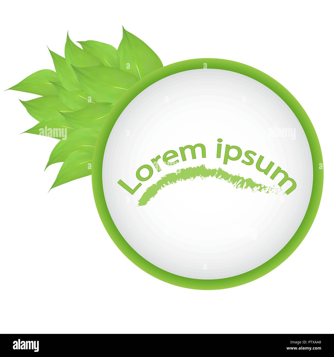 vector. Round banner of branches with leaves isolated on white ...