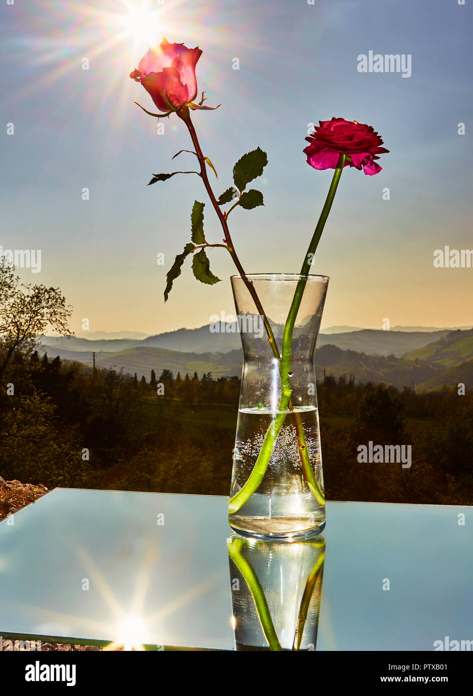 5000 flowers hi-res stock photography and images - Alamy