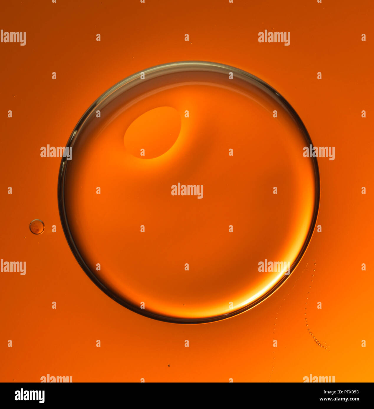 Liquid cosmetics hi-res stock photography and images - Alamy