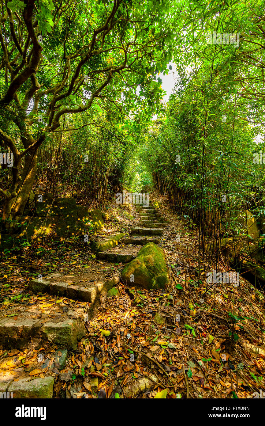 Dragon back trail hi-res stock photography and images - Alamy