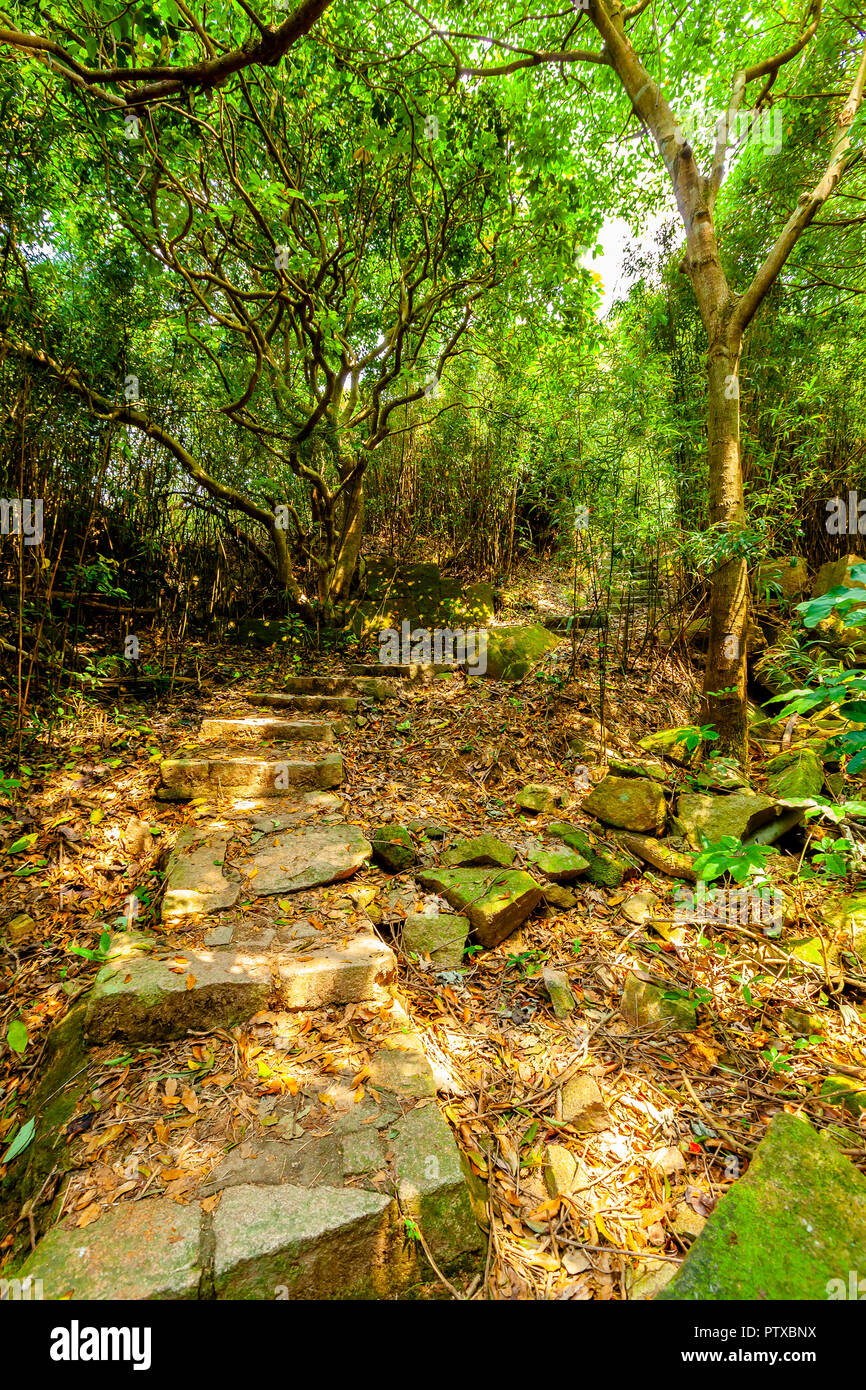 Dragon’s back path hi-res stock photography and images - Alamy