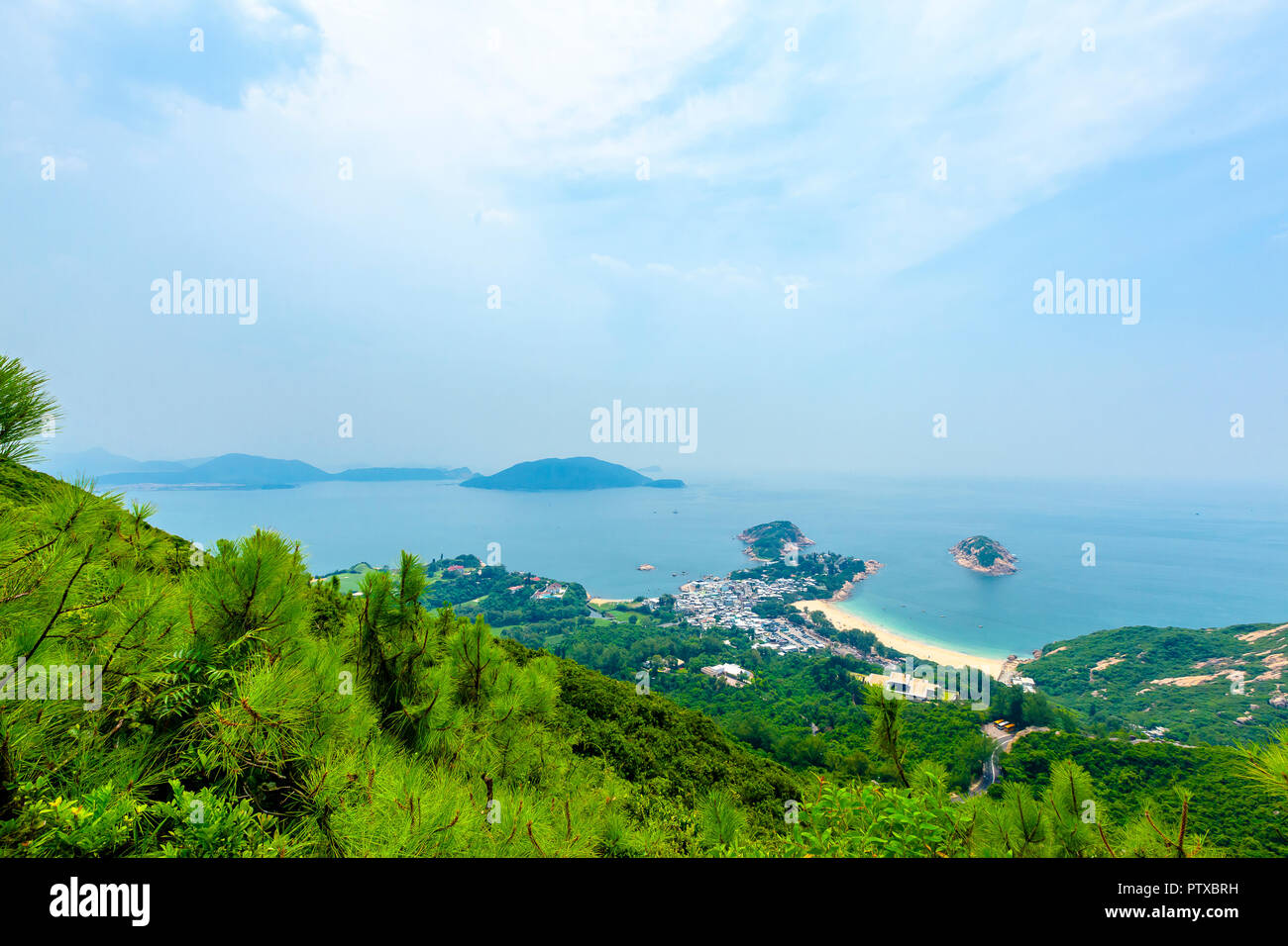 Back dragon hi-res stock photography and images - Alamy