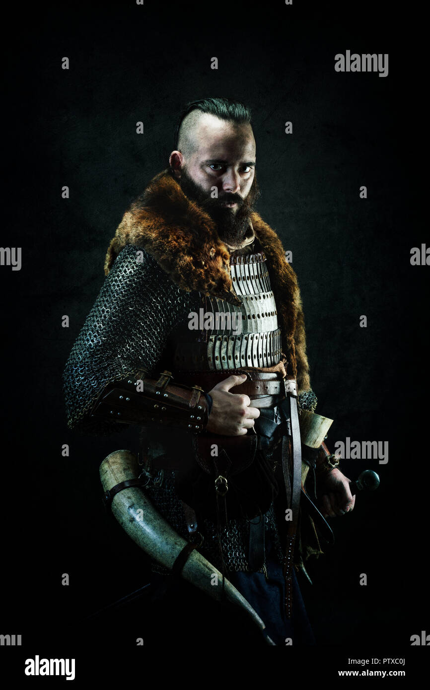 Viking: Portrait of a medieval warrior Stock Photo - Alamy