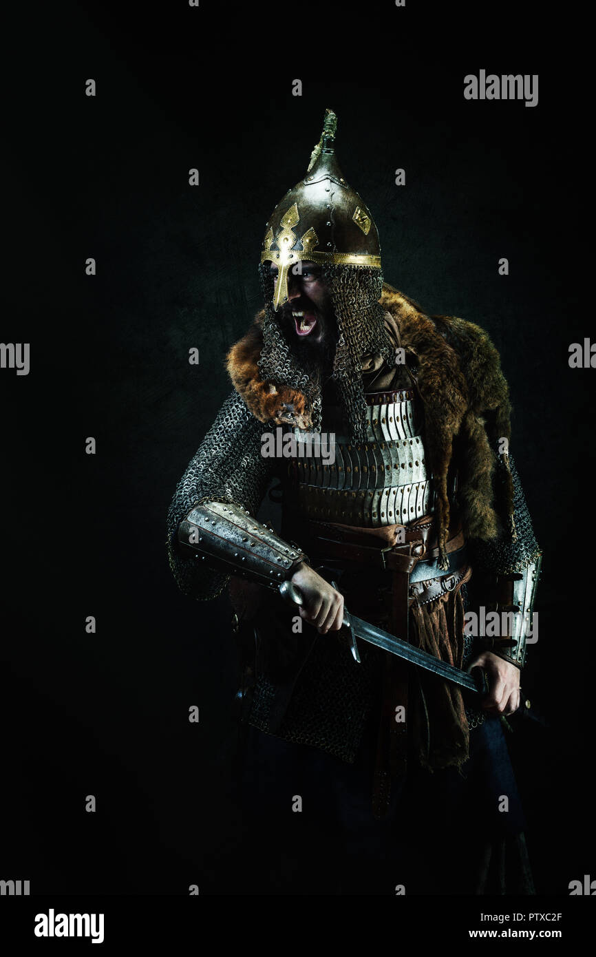 Viking: Portrait of a medieval warrior Stock Photo - Alamy