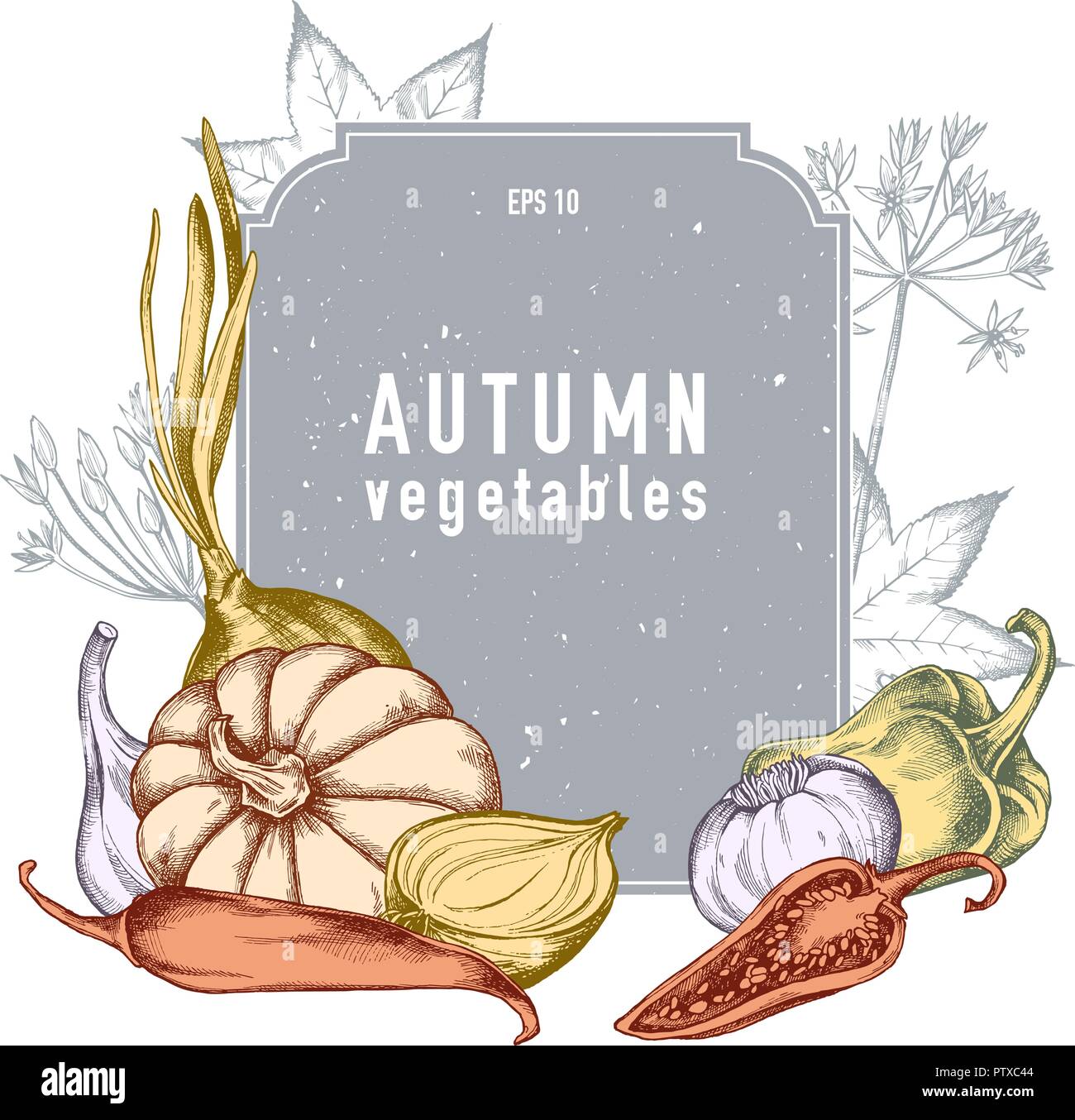 Vector collection of hand drawn autumn vegetables Stock Vector Image ...