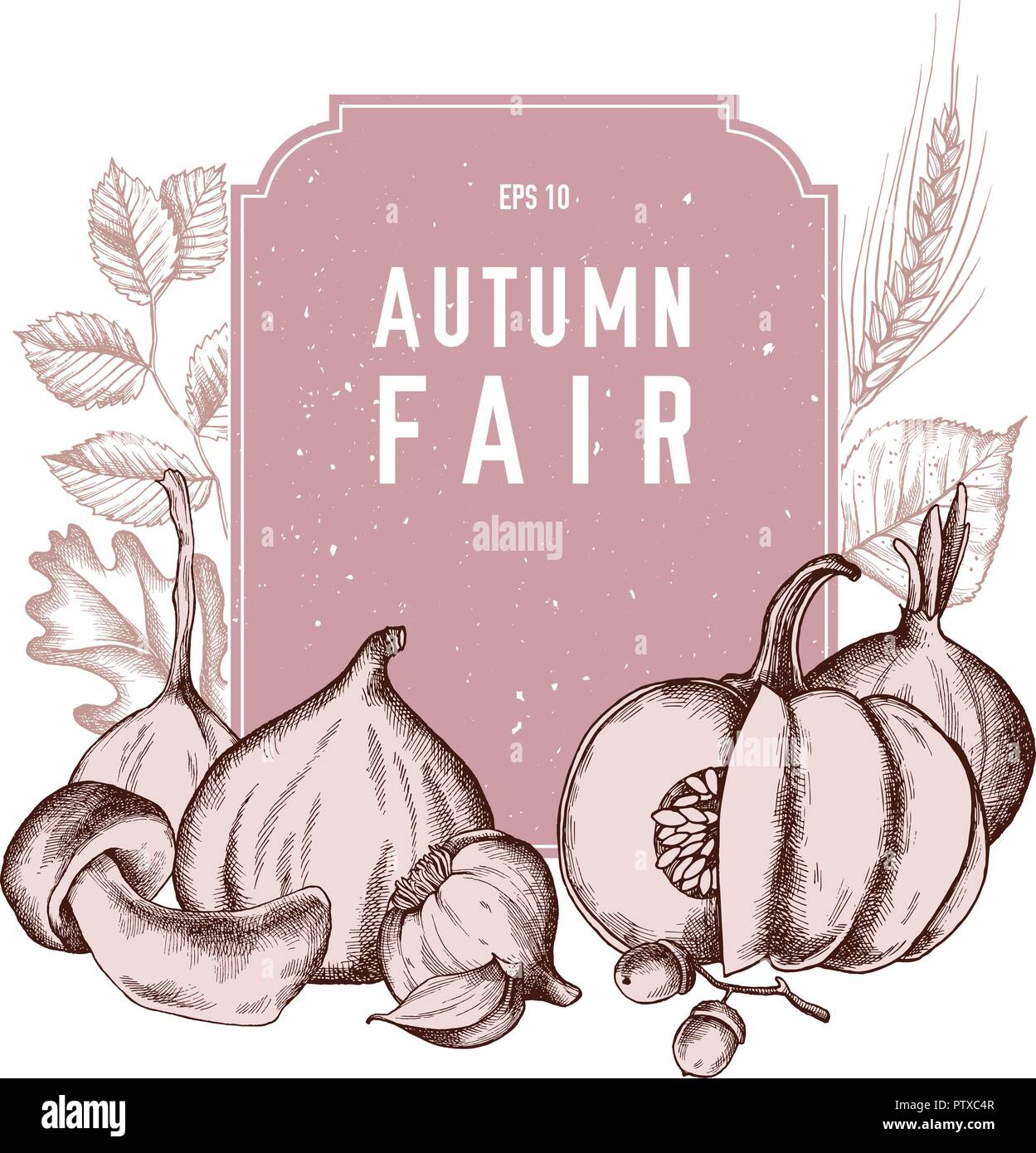 Vector collection of hand drawn autumn vegetables Stock Vector Image ...
