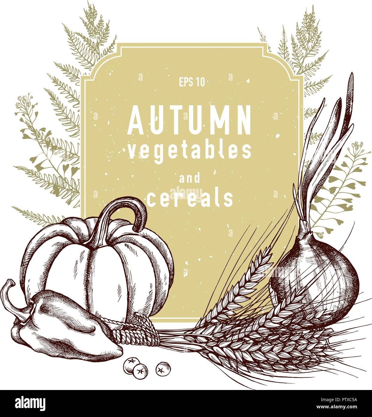 Vector collection of hand drawn autumn vegetables Stock Vector Image ...
