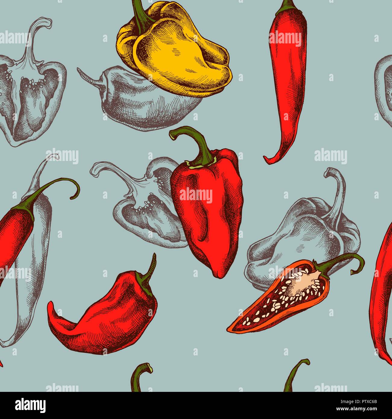 Vector seamless pattern of peppers. Hand drawn vector illustration ...
