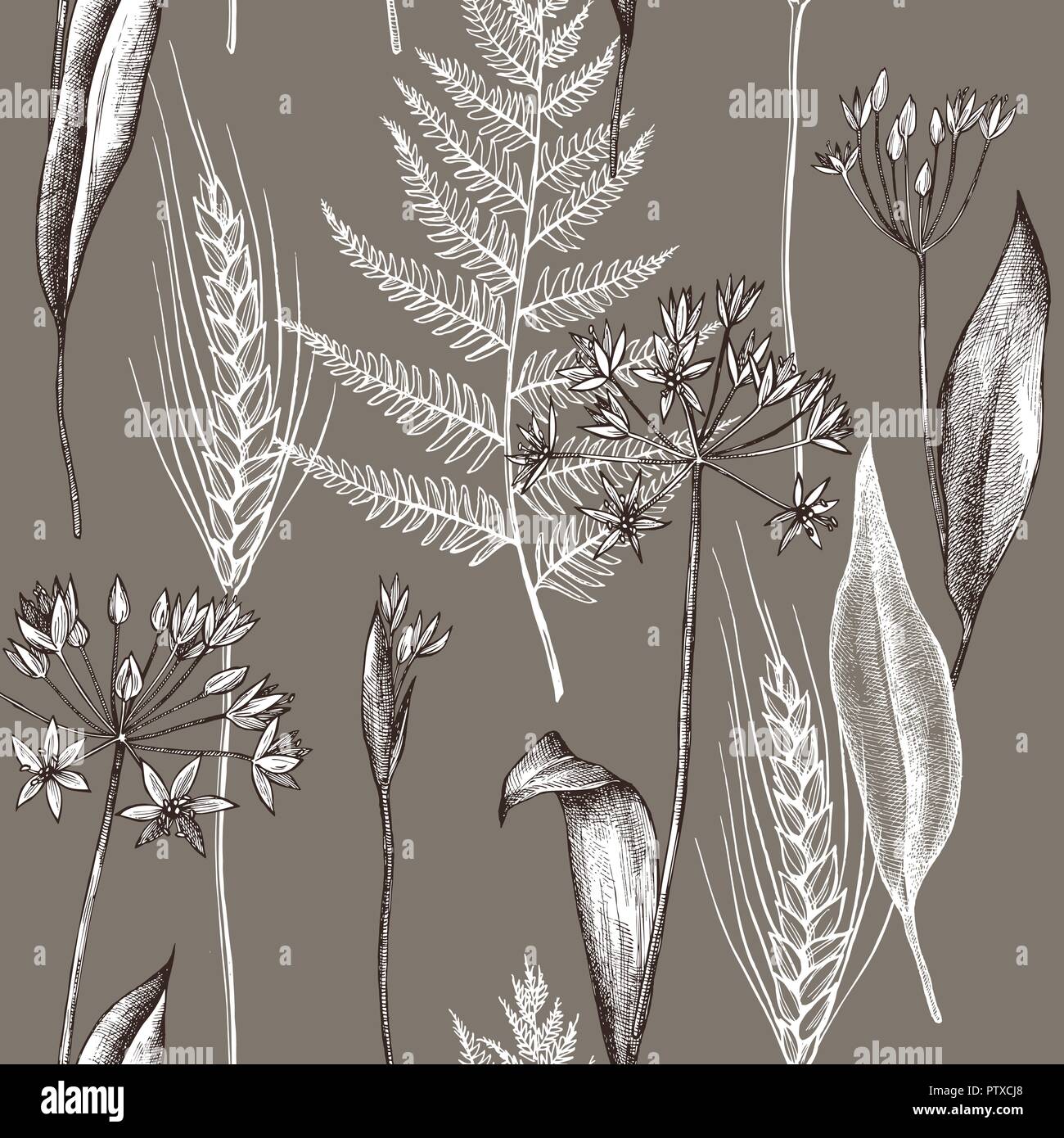 Vector seamless pattern of autumn plants pattern. Hand drawn vector ...