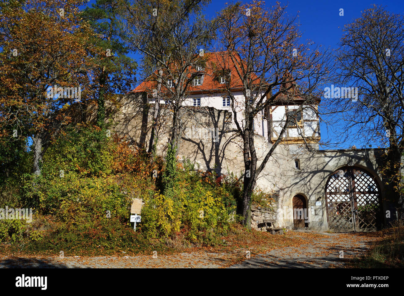 Old manor in the forest Stock Photo - Alamy