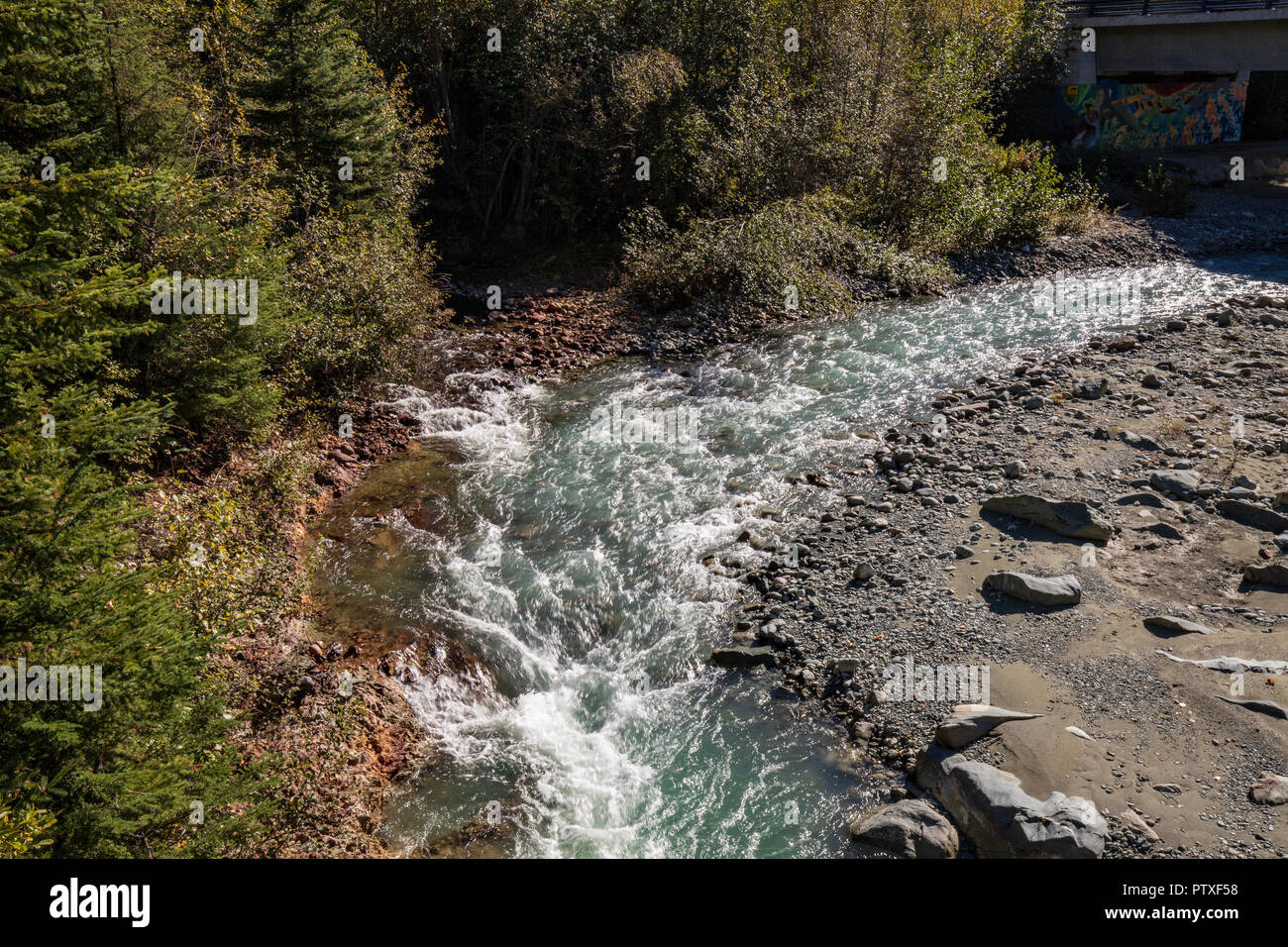 River Rapids Through the Trees Stock Photo - Alamy