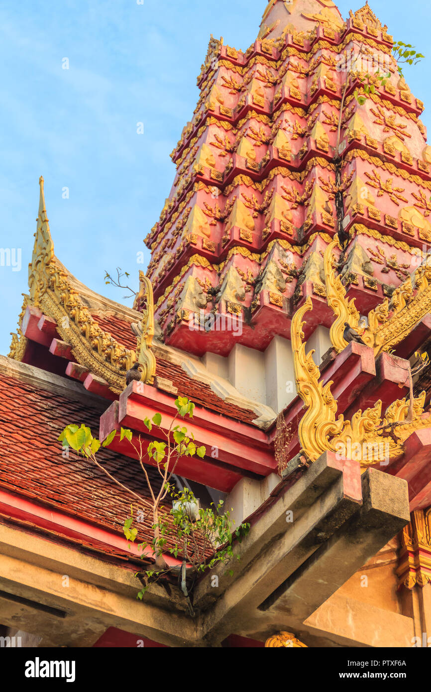 Little green bodhi tree growing up on top of golden pagoda under blue ...