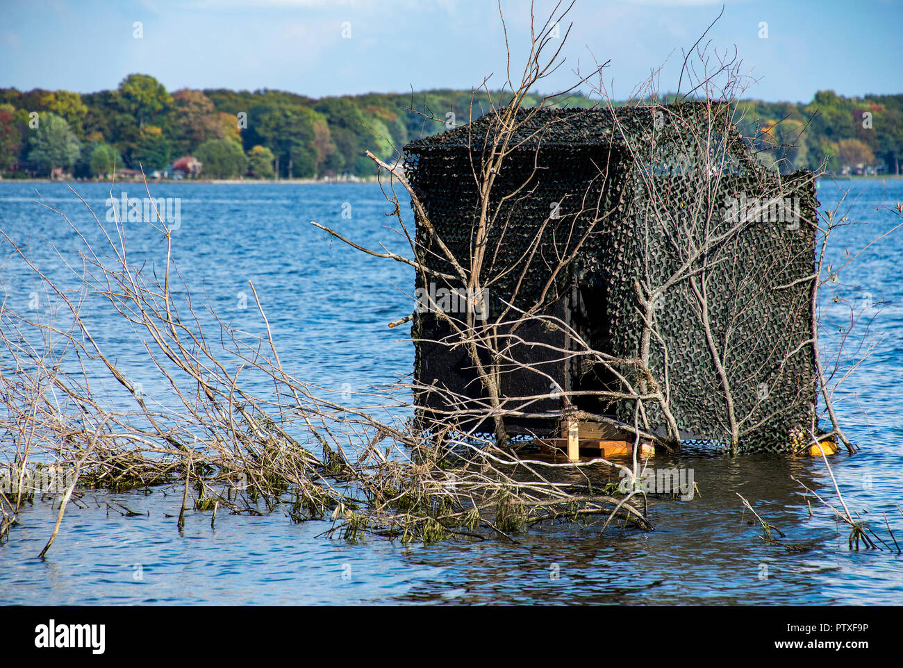 duck blind camouflaged with dark mesh and tree branches in lake water ...