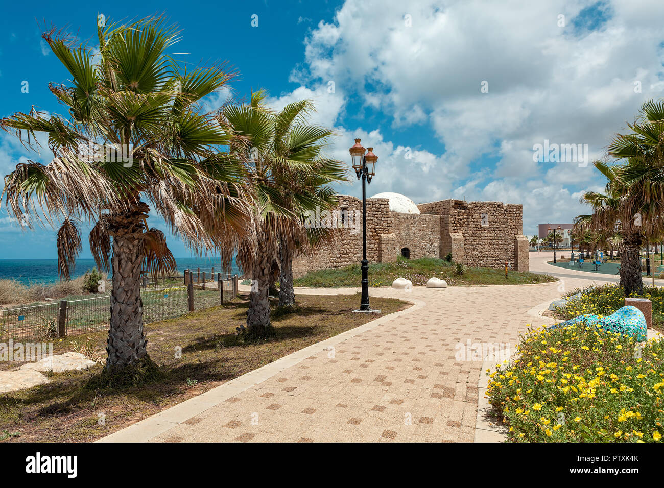 Ashkelon israel hi-res stock photography and images - Alamy