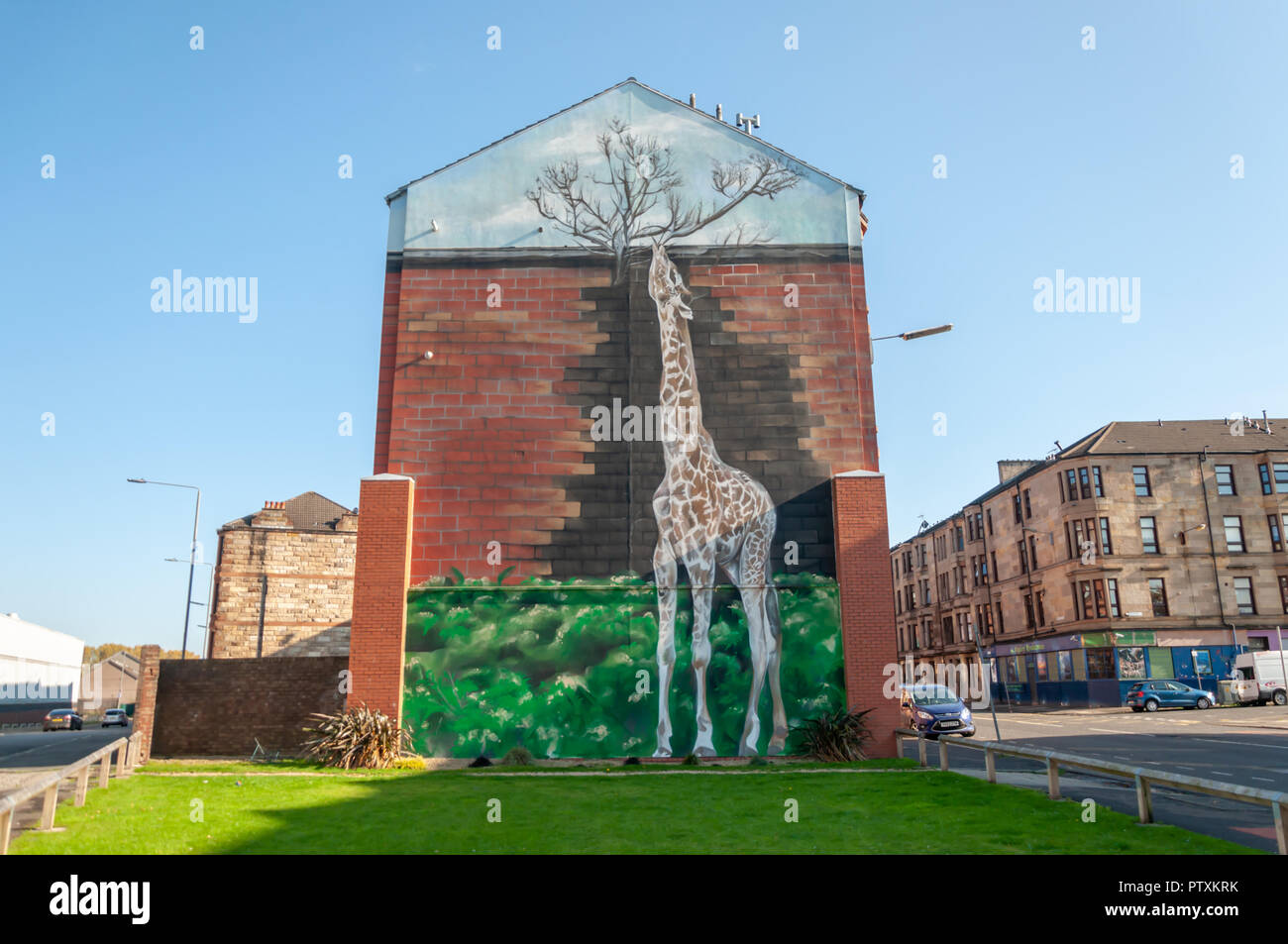 Giraffe Mural, Shettleston Road, Glasgow, Scotland, UK Stock Photo - Alamy