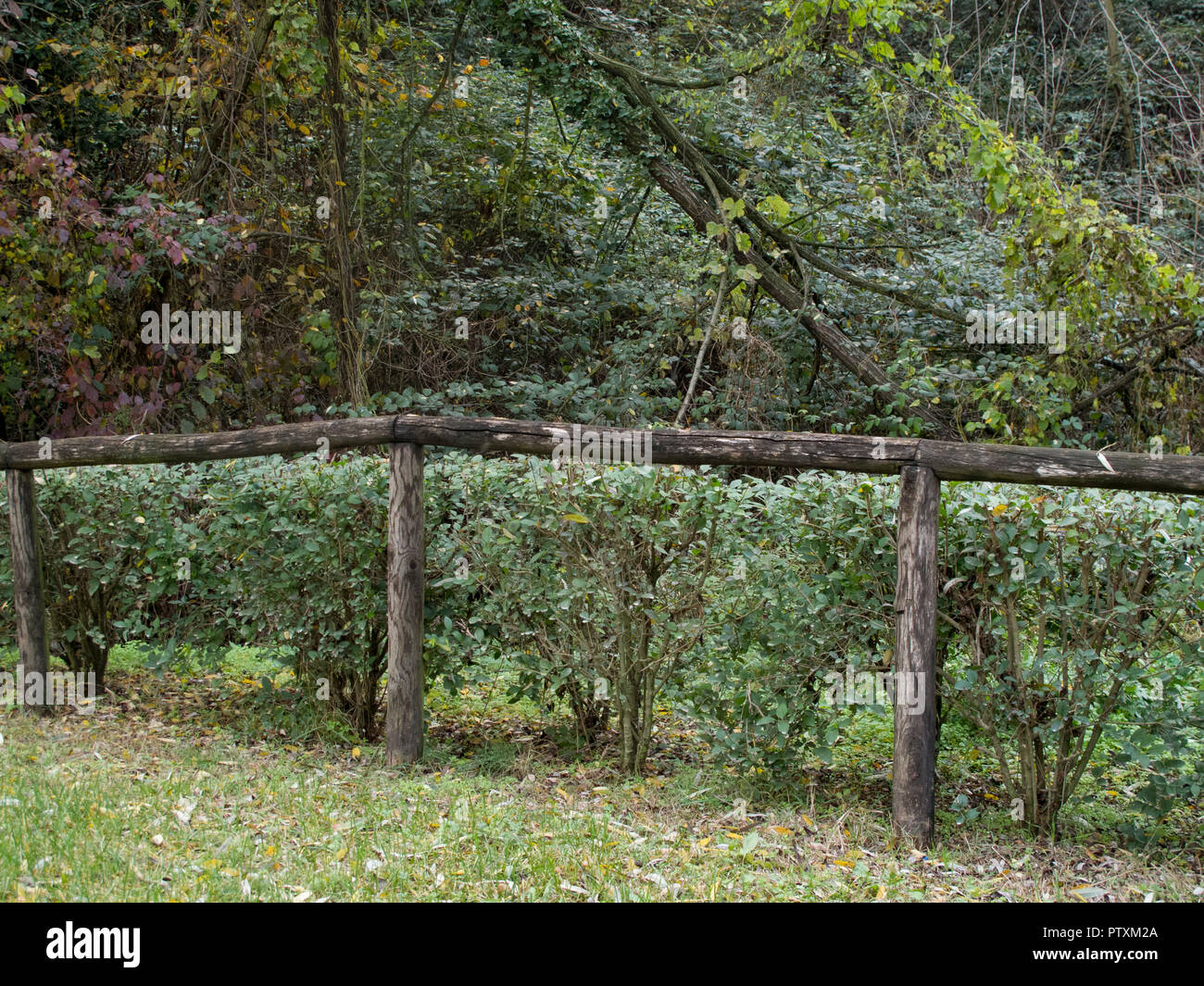 Hedge wooden fence fencing hi-res stock photography and images - Alamy