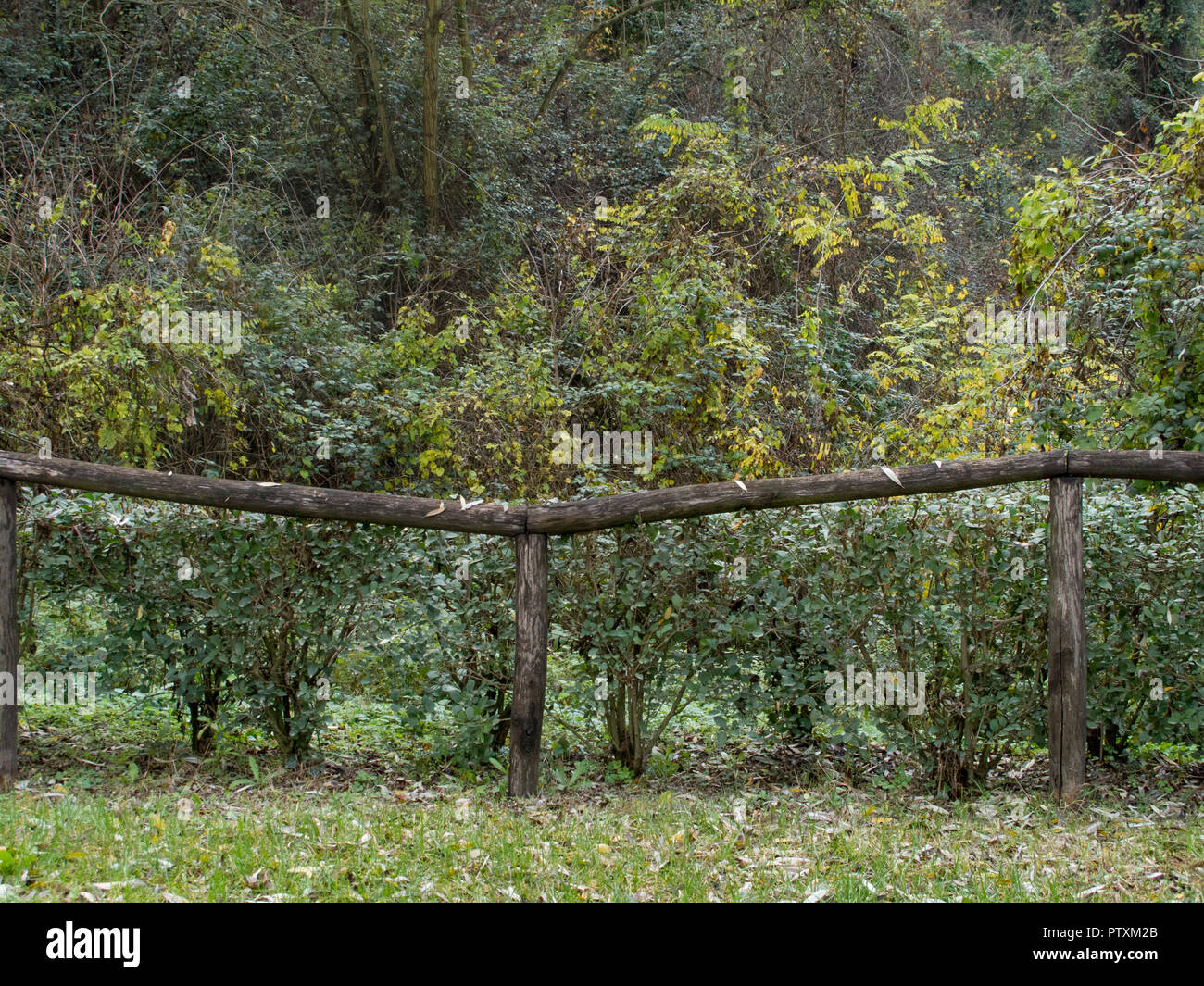 Hedge wooden fence fencing hi-res stock photography and images - Alamy