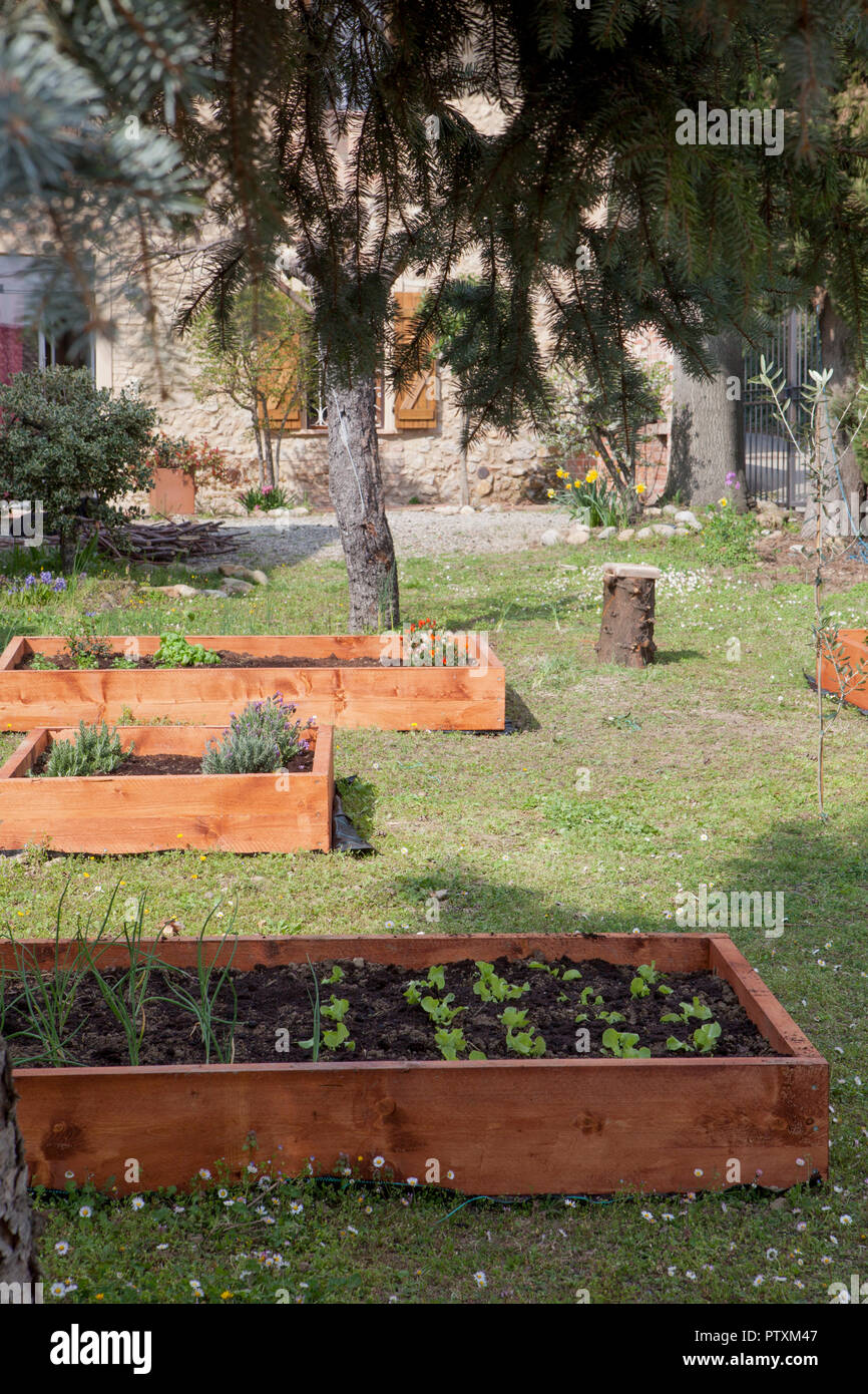vegetable garden tubs in a garden of a country house Stock Photo - Alamy